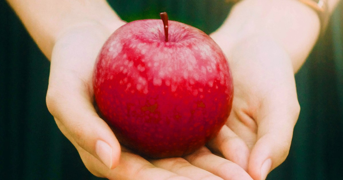 Fuel Your Success: Your Guide to Eating for Energy and Focus