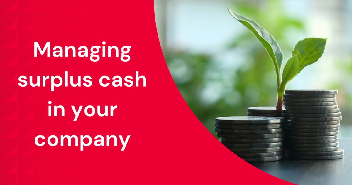 Managing surplus cash in your company | Ways to invest